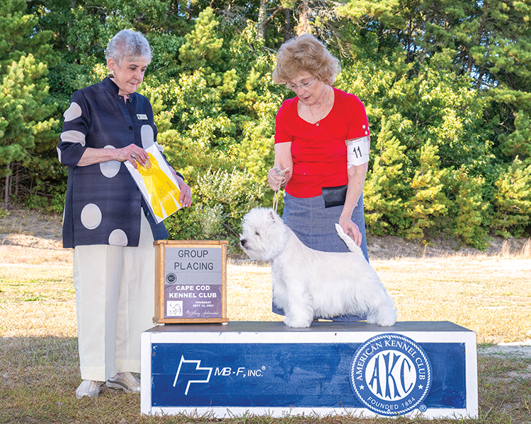 GCHB. Elsinore Most Valuable Player | Canine Chronicle