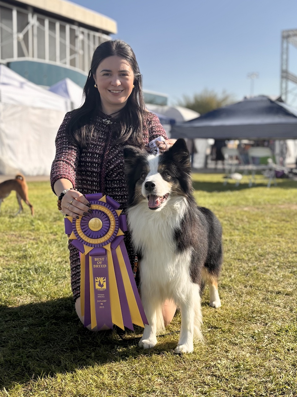 Border Collie Club of Arizona – Friday, January 31, 2025 | Canine Chronicle
