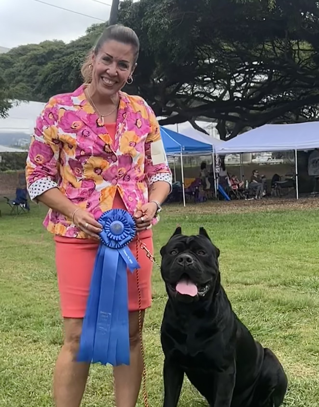 Working Dog Club of Hawaii – Sunday, February 16, 2025 | Canine Chronicle
