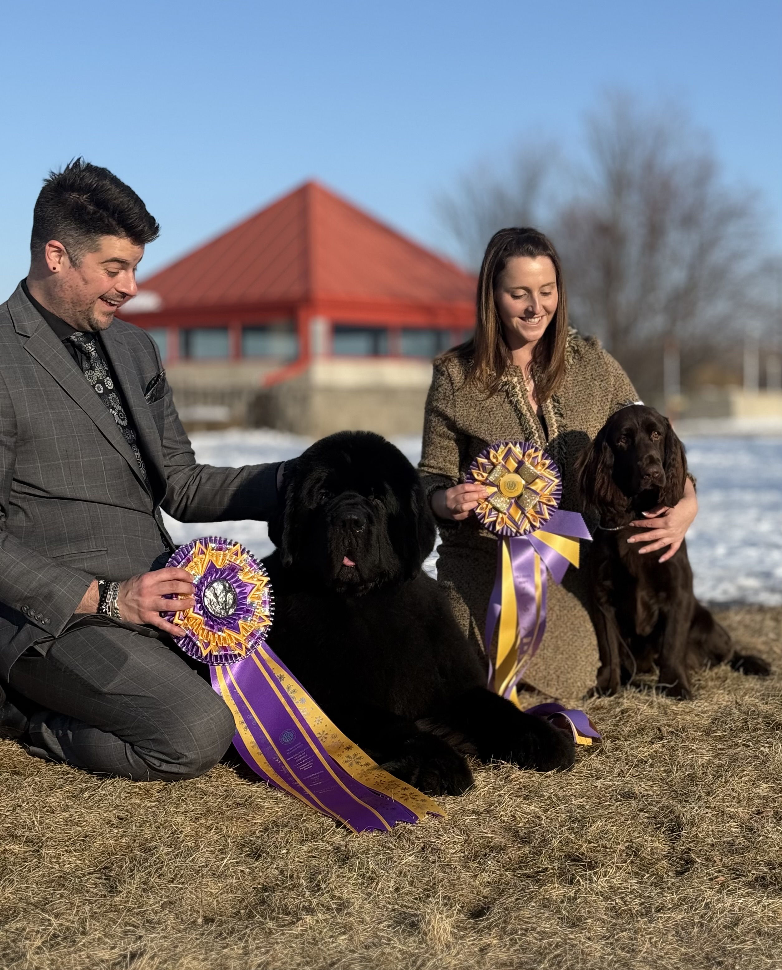Field Spaniel Society of America Regional – Sunday, February 23, 2025 ...