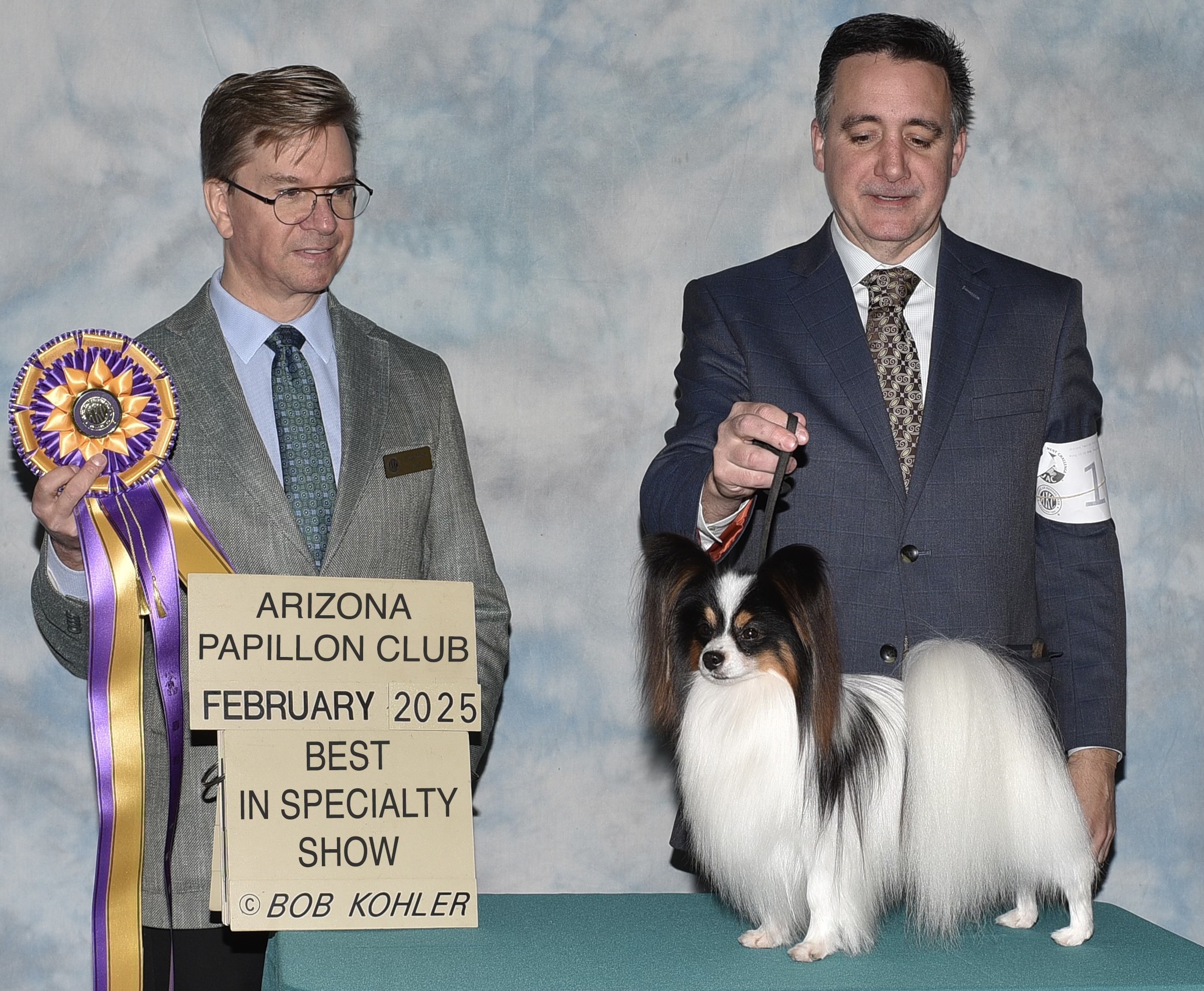 Arizona Papillon Club – Thursday, February 27, 2025 | Canine Chronicle