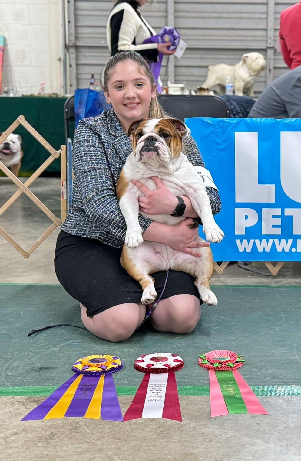 The Capital Bulldog Club – Friday, March 14, 2025 | Canine Chronicle