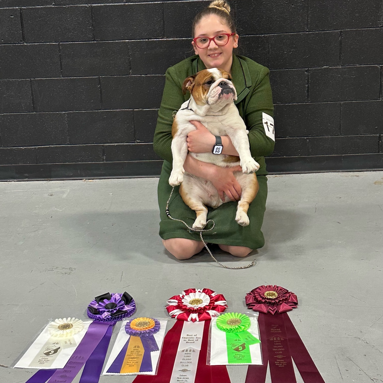 The Bulldog Club Of Philadelphia – Saturday, March 22, 2025 | Canine ...