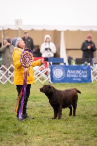 Labrador Retriever Club of the Potomac – Friday, April 11, 2025 ...