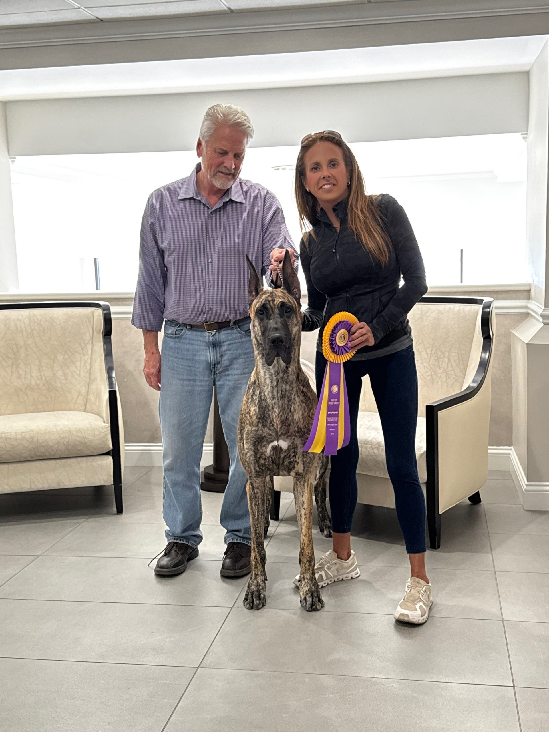 Greater Cincinnati Great Dane Club – Sunday, March 30, 2025 | Canine ...