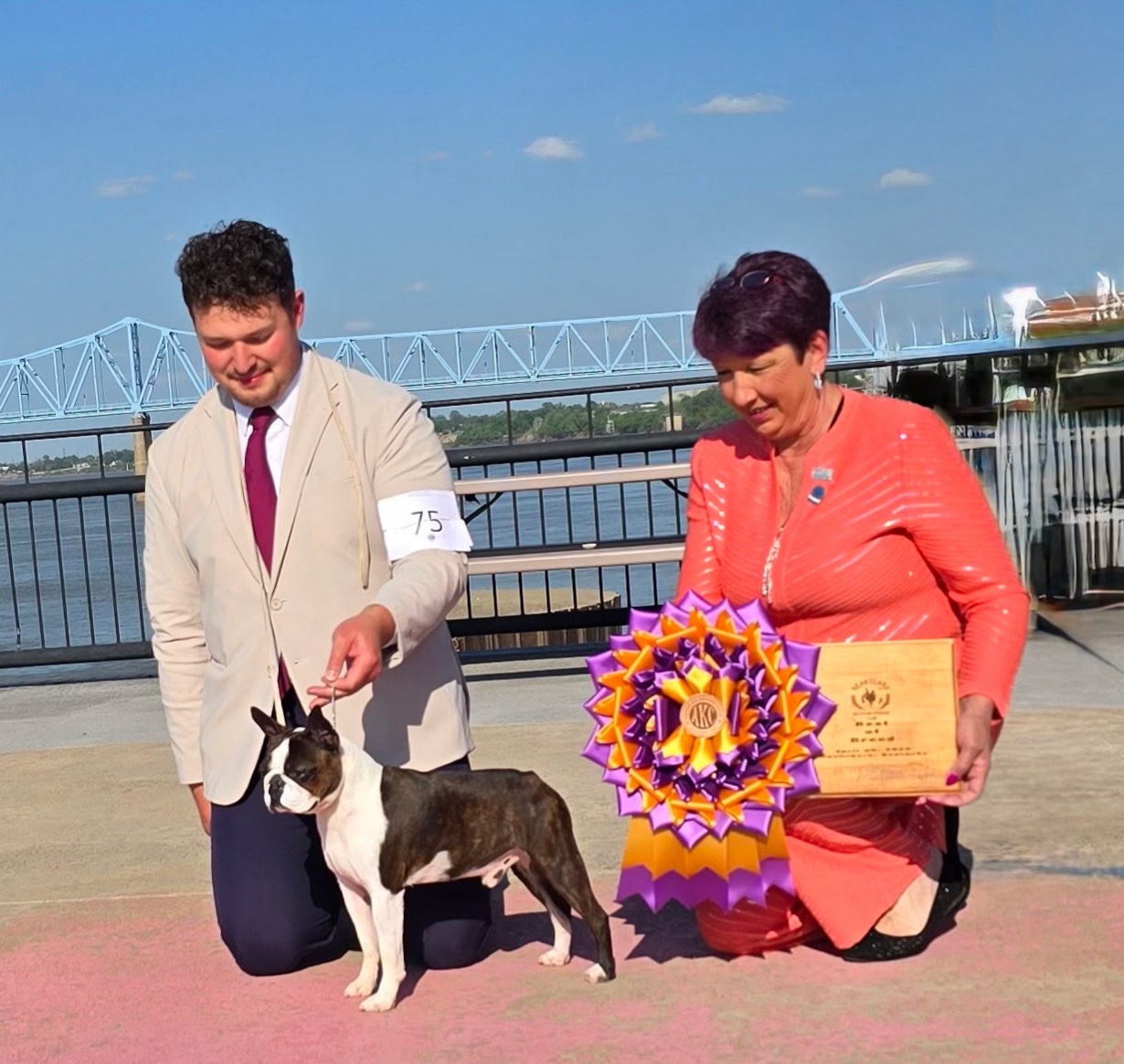 Heartland Boston Terrier Club – Monday, April 28, 2025 | Canine Chronicle