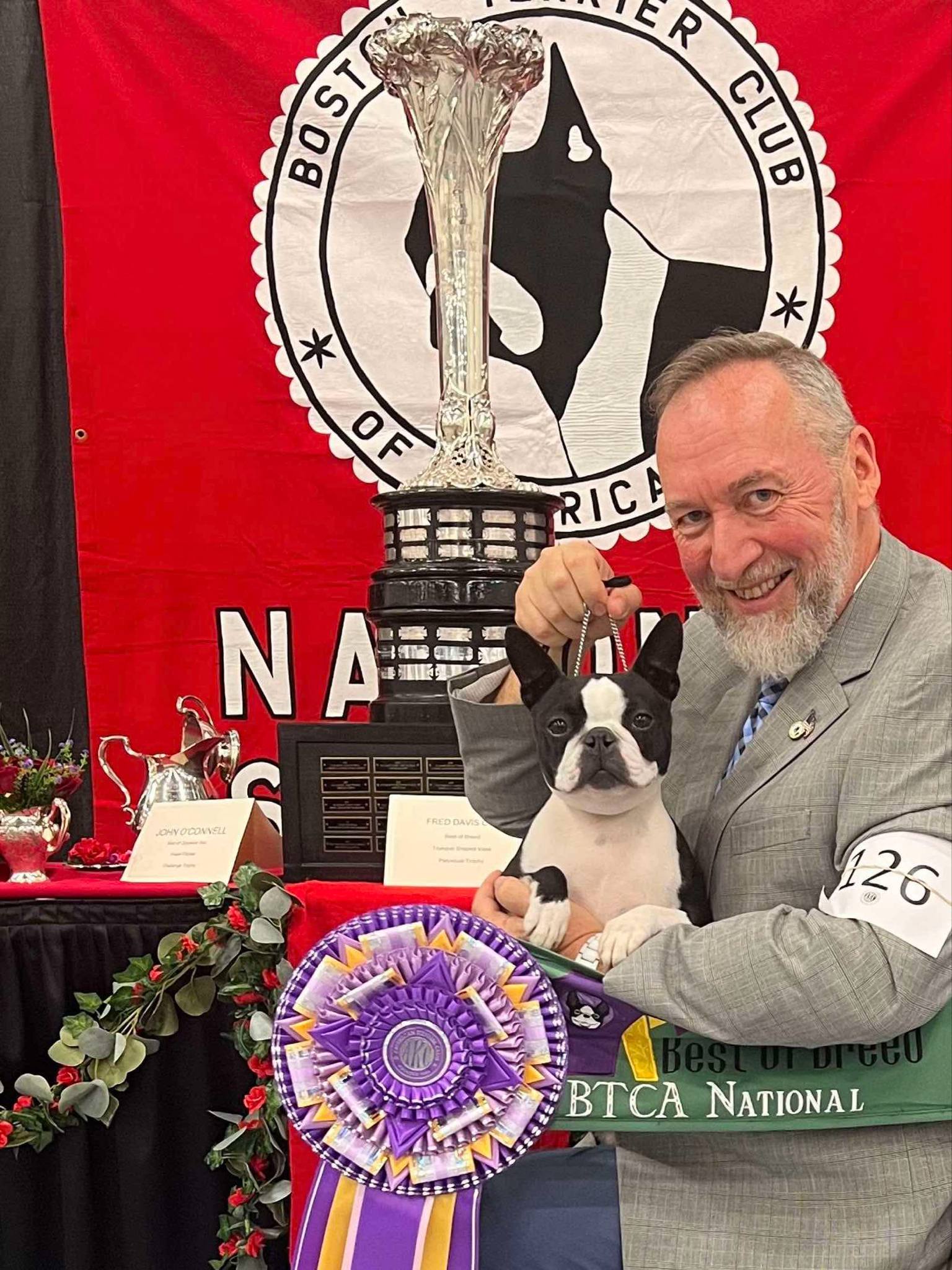 Boston Terrier Club of America National – Friday, May 2, 2025 | Canine ...