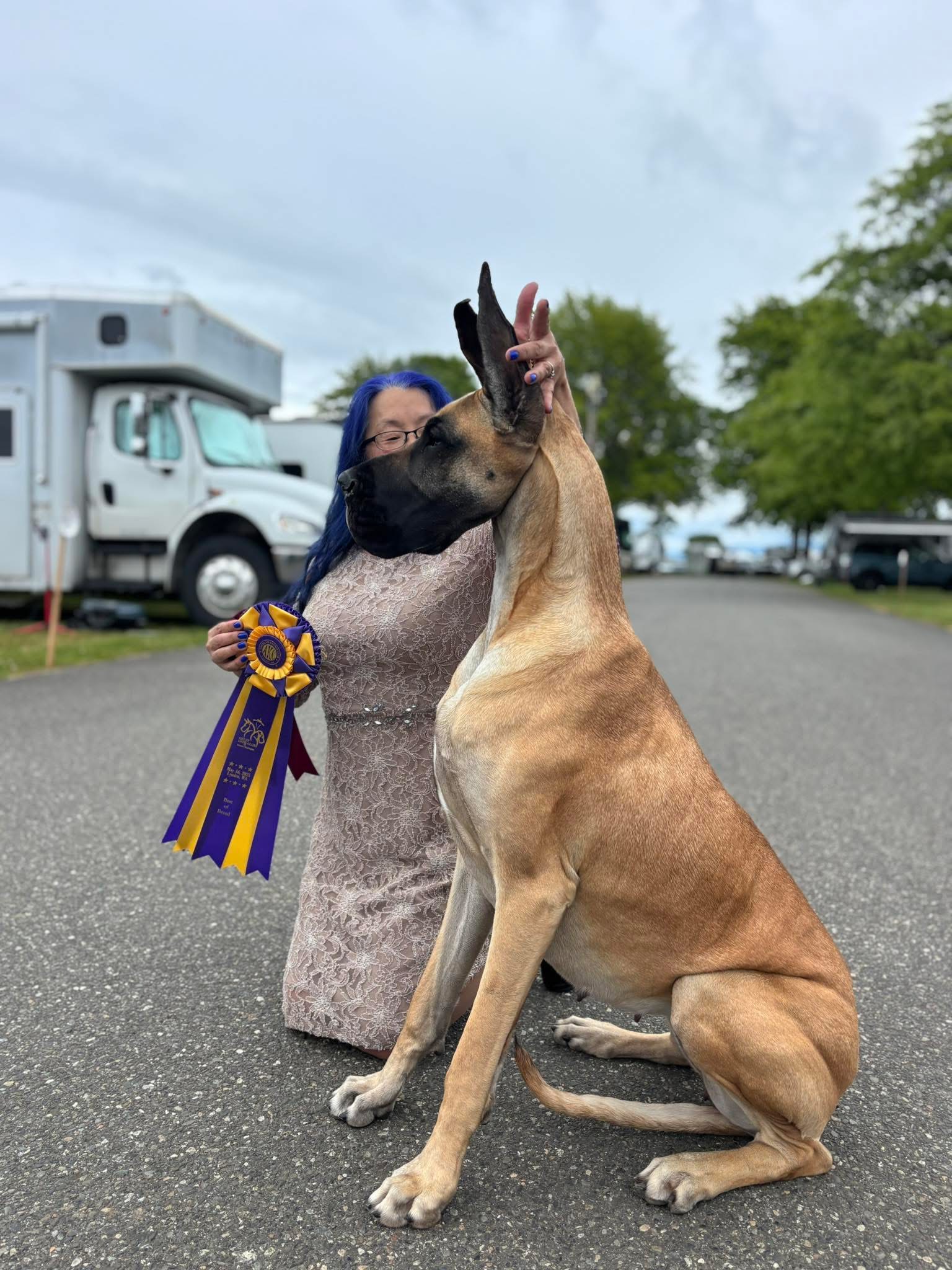 Great Dane Club of Western Washington – Friday, May 16, 2025 | Canine ...