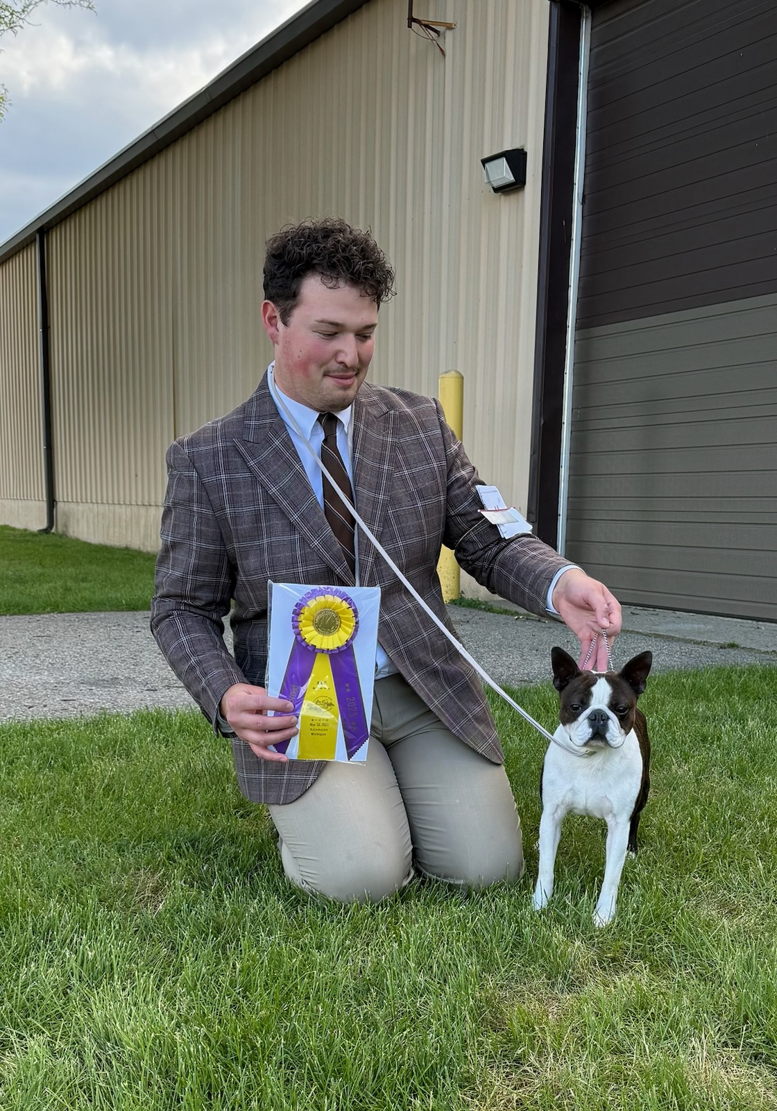 Boston Terrier Club of Detroit – Sunday, May 25, 2025 | Canine Chronicle