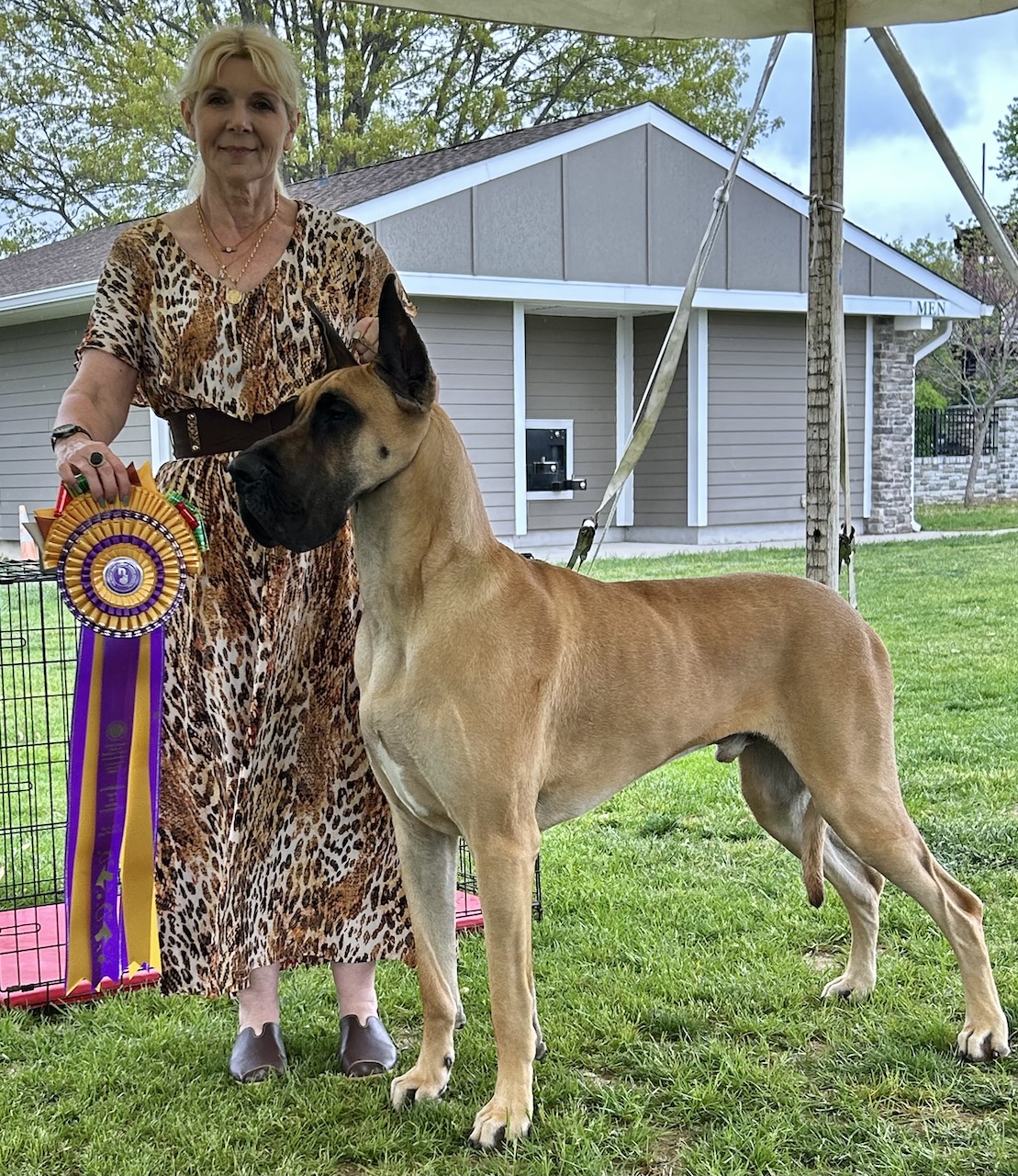 Great Dane Club of Raritan Valley #2 – Sunday, May 4, 2025 | Canine ...
