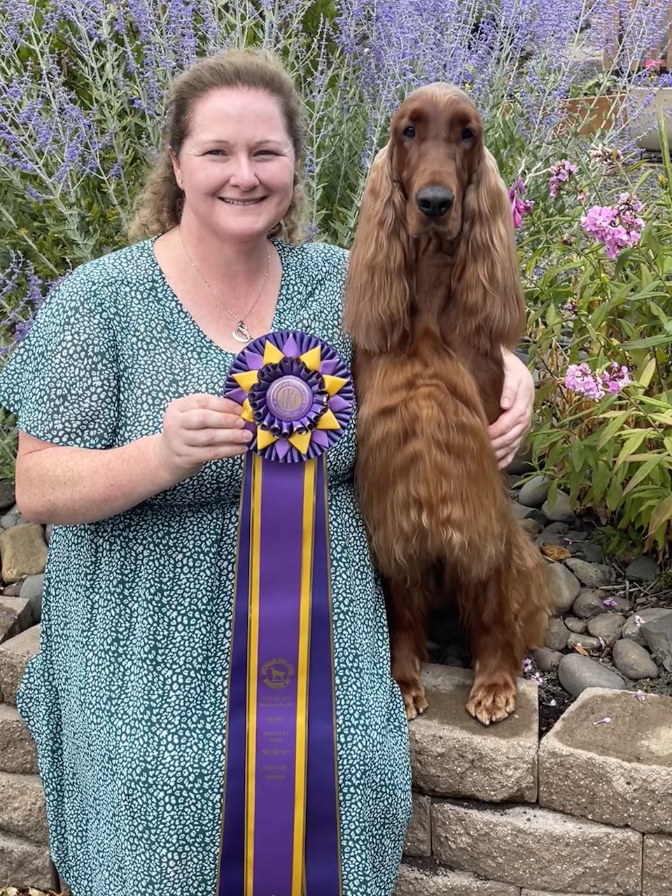 Multnomah Irish Setter Association – Friday, June 20, 2025 | Canine ...