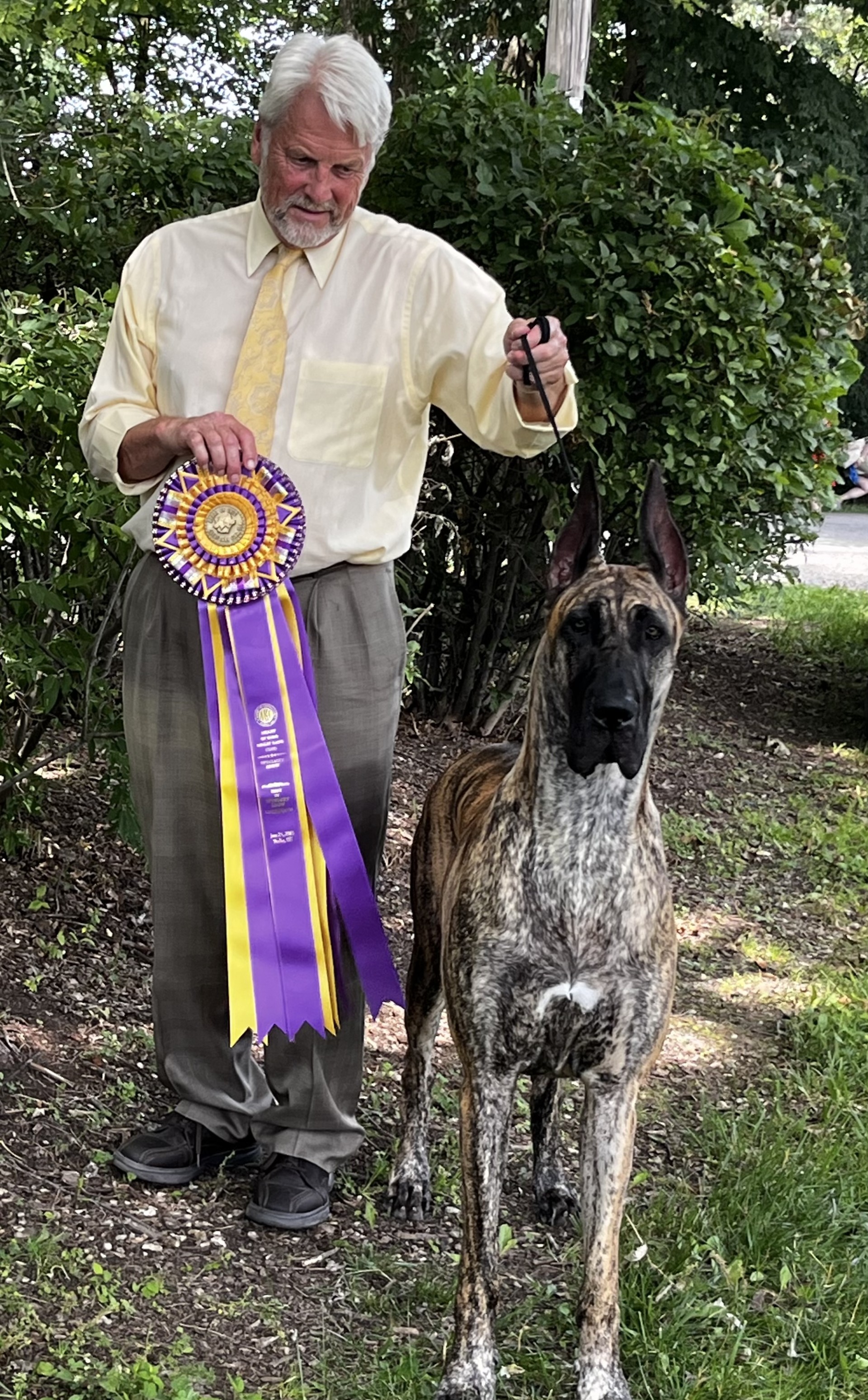 Heart of Ohio Great Dane Club – Saturday, June 21, 2025 | Canine Chronicle