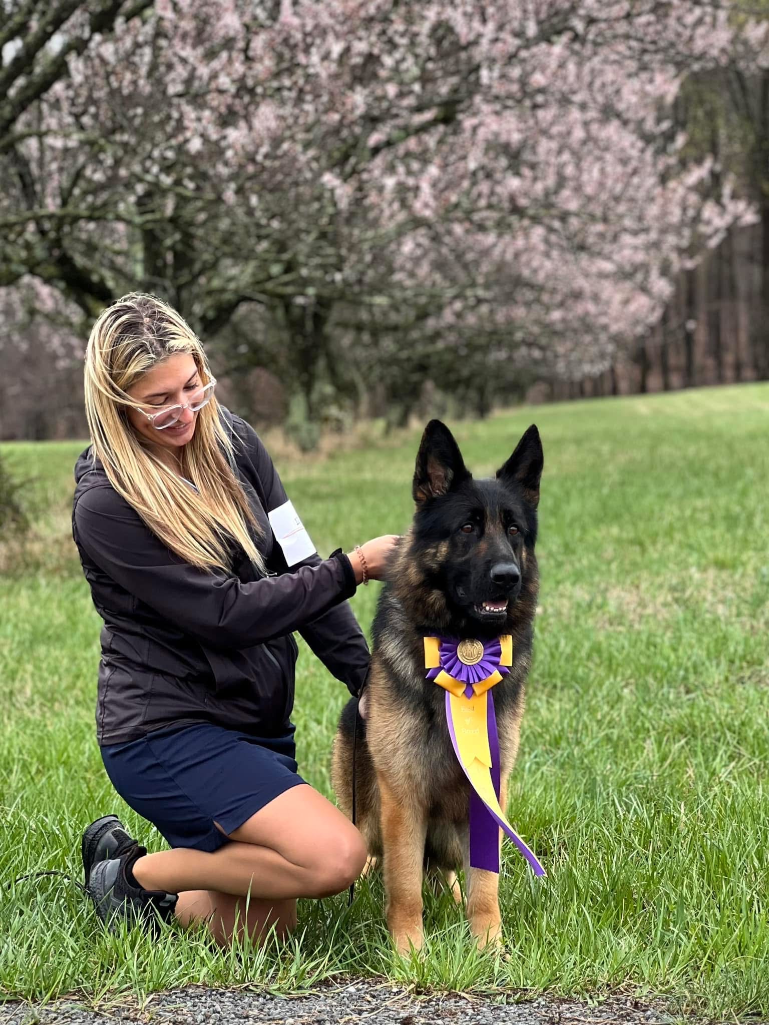 German Shepherd Dog Club of Central Massachusetts – Saturday, June 14 ...
