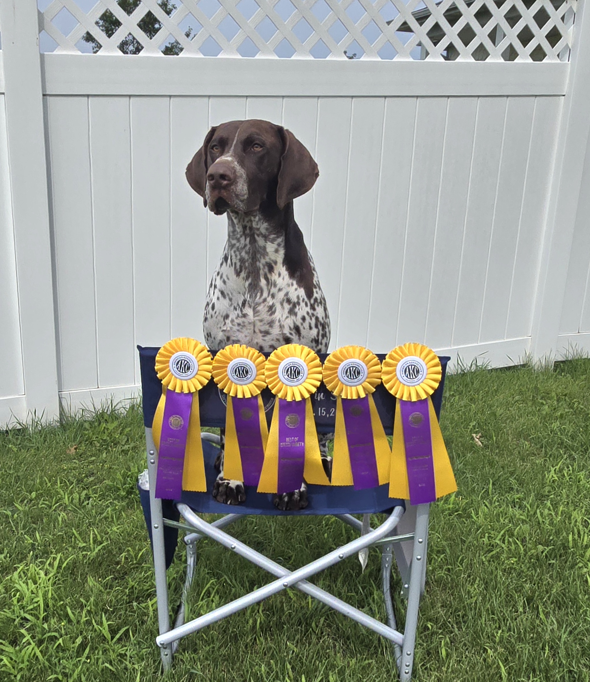 German Shorthaired Pointer Club of Illinois & Fort Dearborn German ...