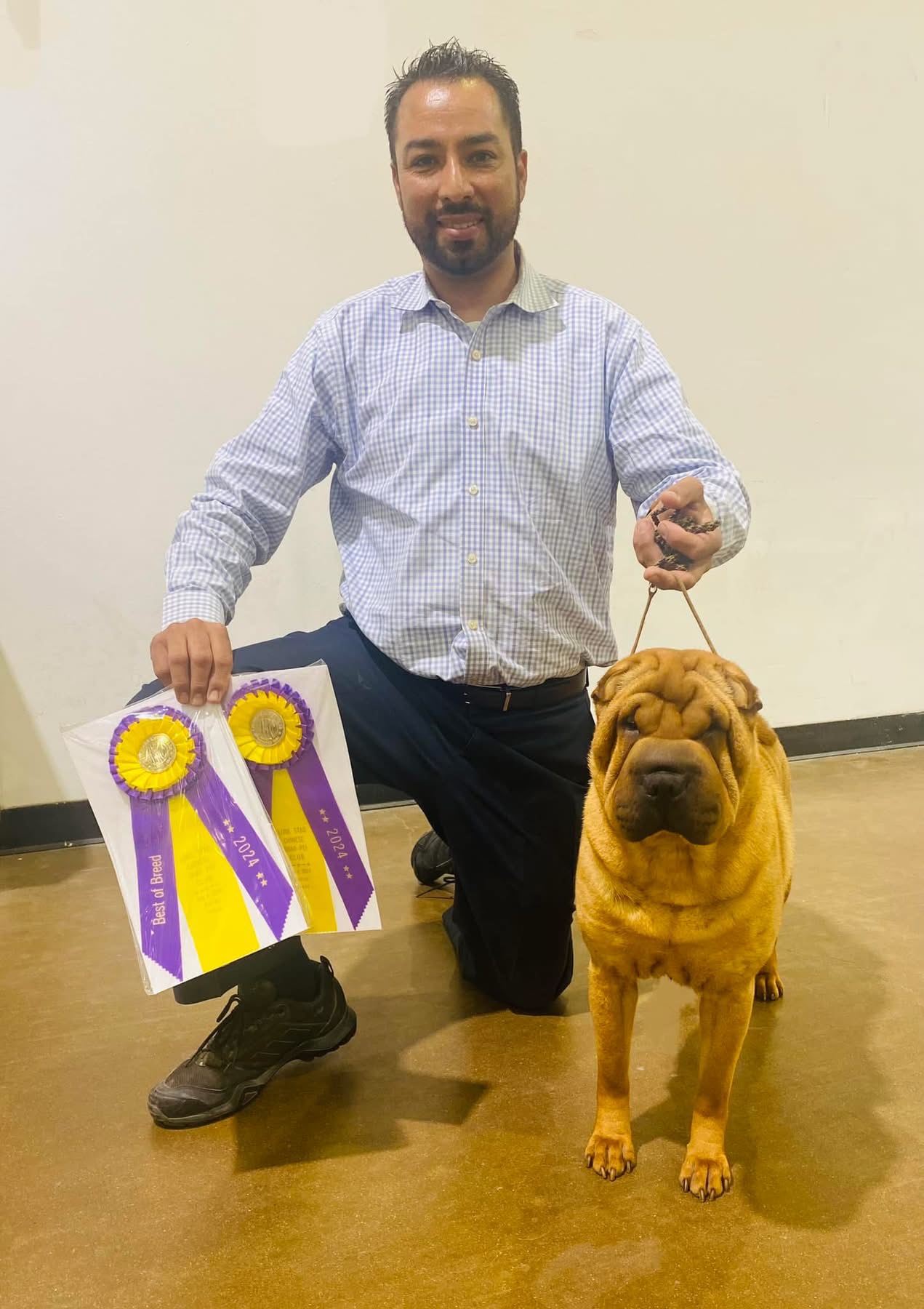 Lone Star Chinese Shar-Pei Club #1 & #2 – Thursday, July 3, 2025 ...