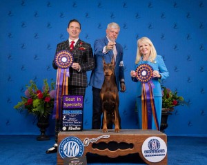 Doberman Pinscher Club of Houston #1 & #2 – Wednesday, July 16, 2025 ...