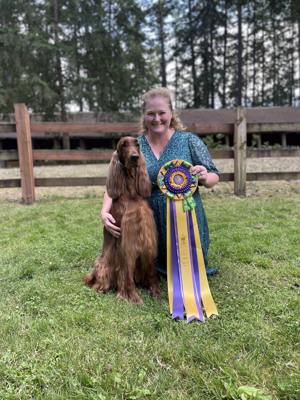 Irish Setter Club of Seattle – Friday, July 18, 2025 | Canine Chronicle