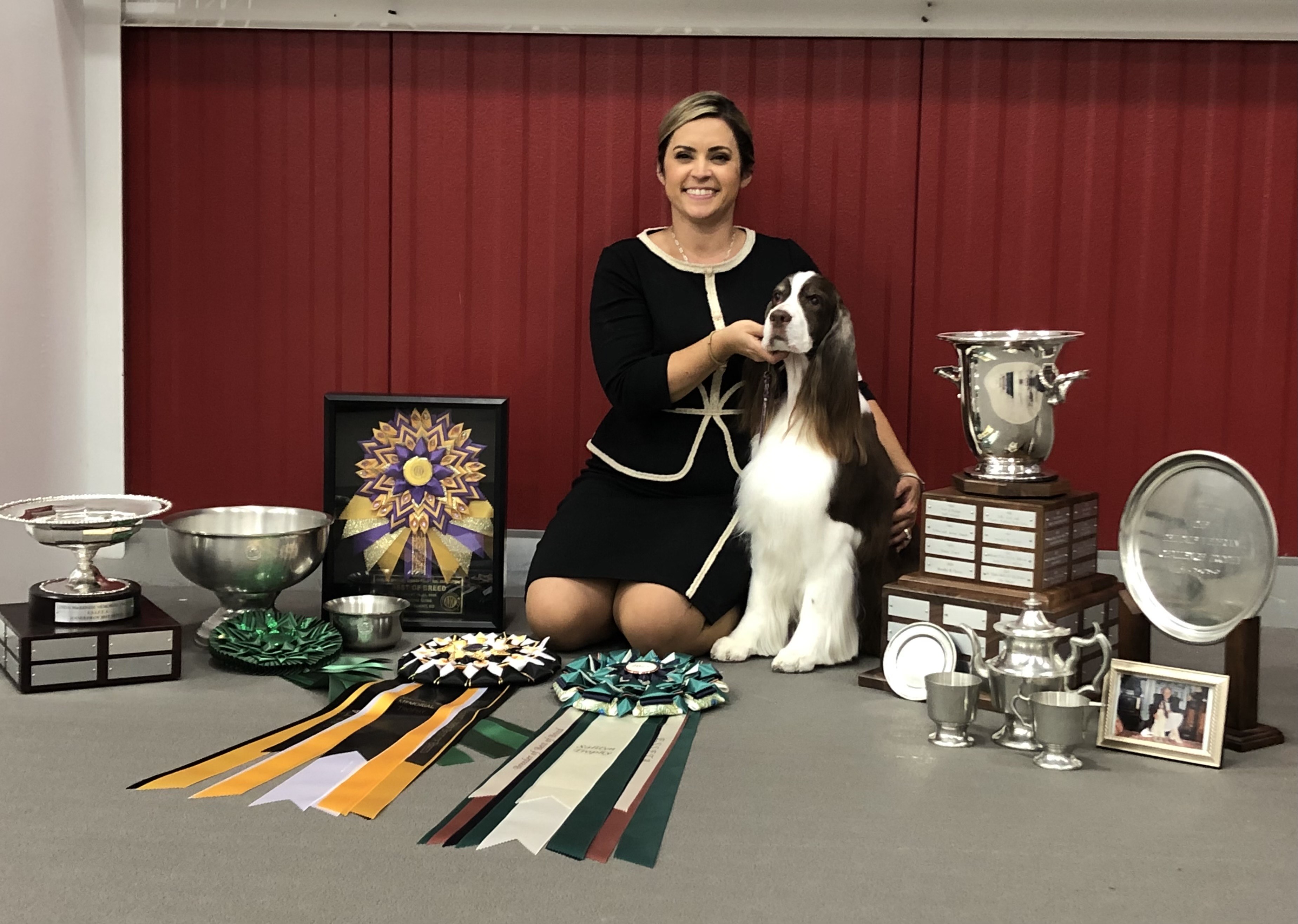 English Springer Spaniel Field Trial Association National – Saturday ...