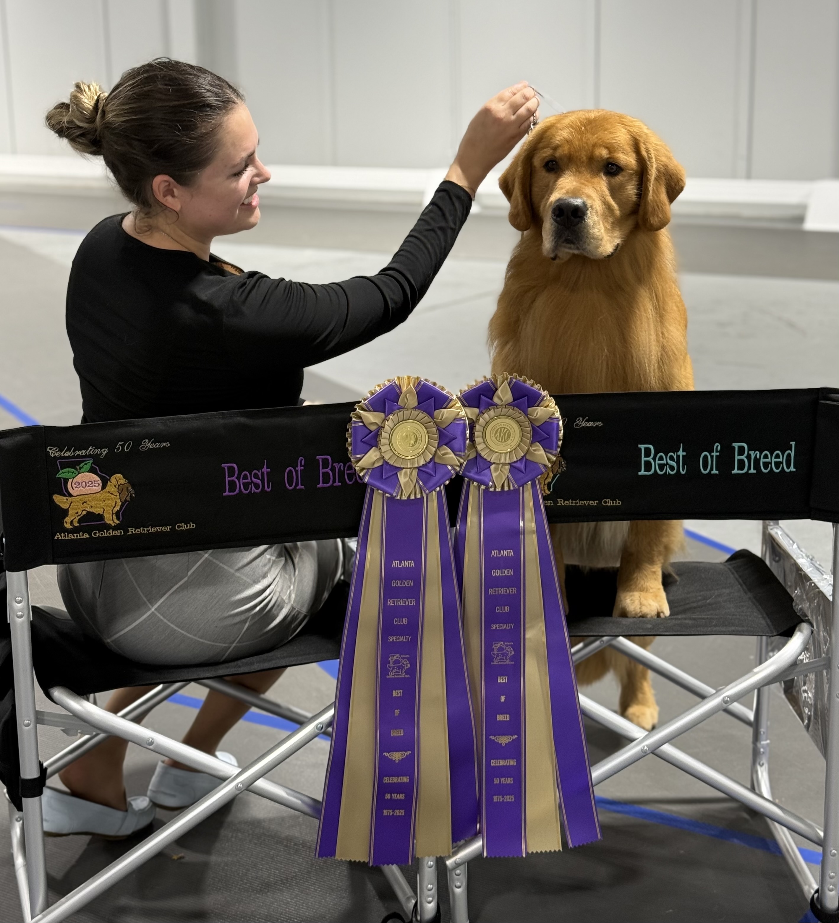 Atlanta Golden Retriever Club #2 & #3 – Saturday & Sunday, August 2 & 3 ...