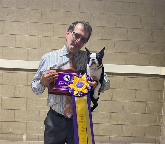 Hawkeye Boston Terrier Club Specialty #1 – Friday, September 5, 2025 ...