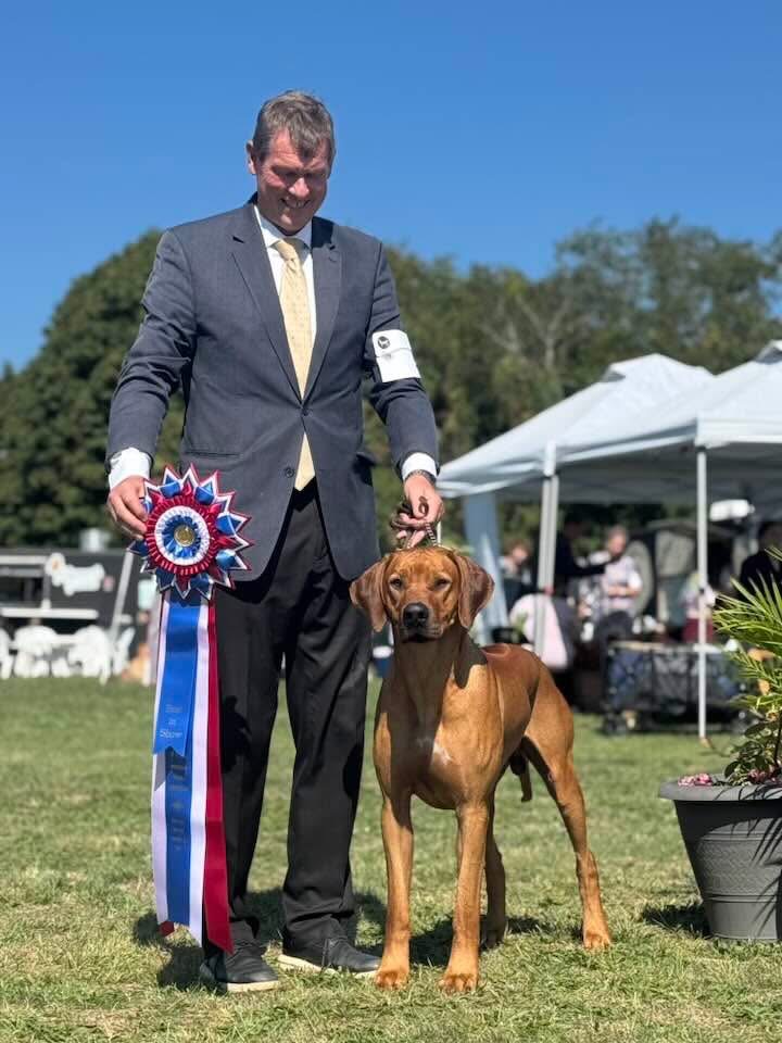 Westbury Kennel Association #1 – Sunday, September 28, 2025 | Canine ...