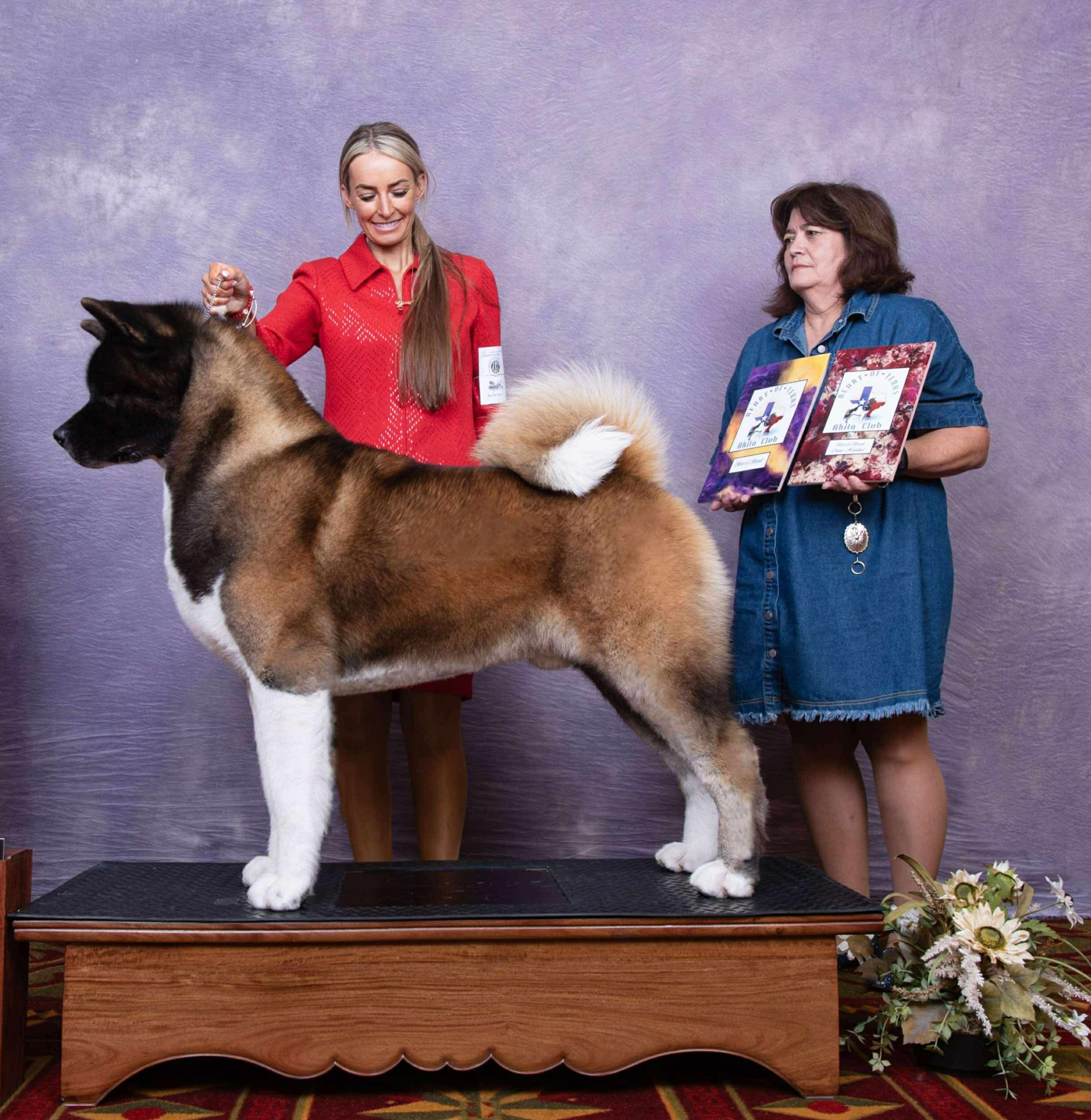 Heart of Texas Akita Club – Monday, October 20, 2025 | Canine Chronicle
