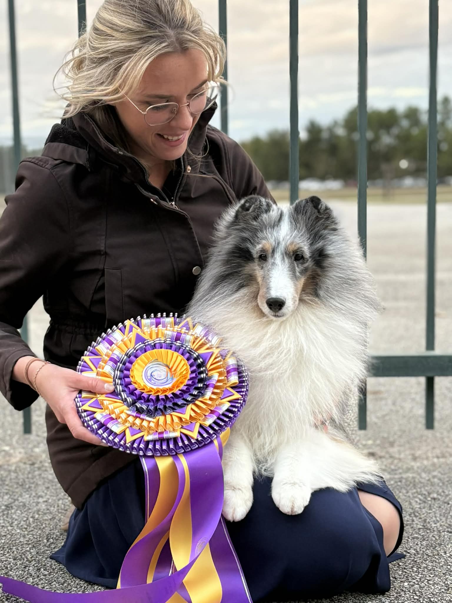 Shoreline Shetland Sheepdog of Baytown – Friday, November 28, 2025 ...