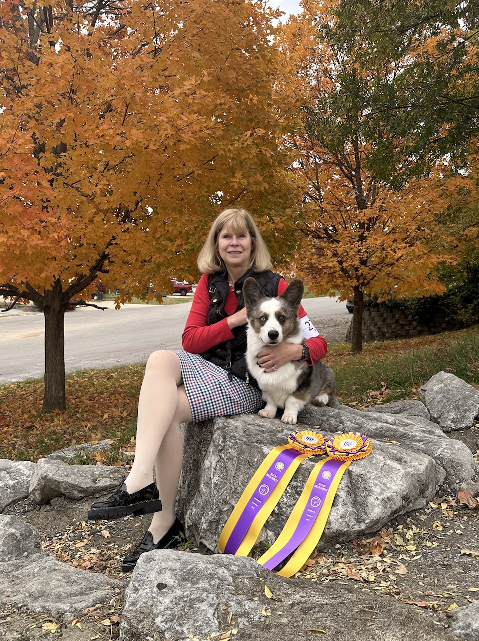 Three Trails Cardigan Welsh Corgi Club of Kansas City – Friday ...