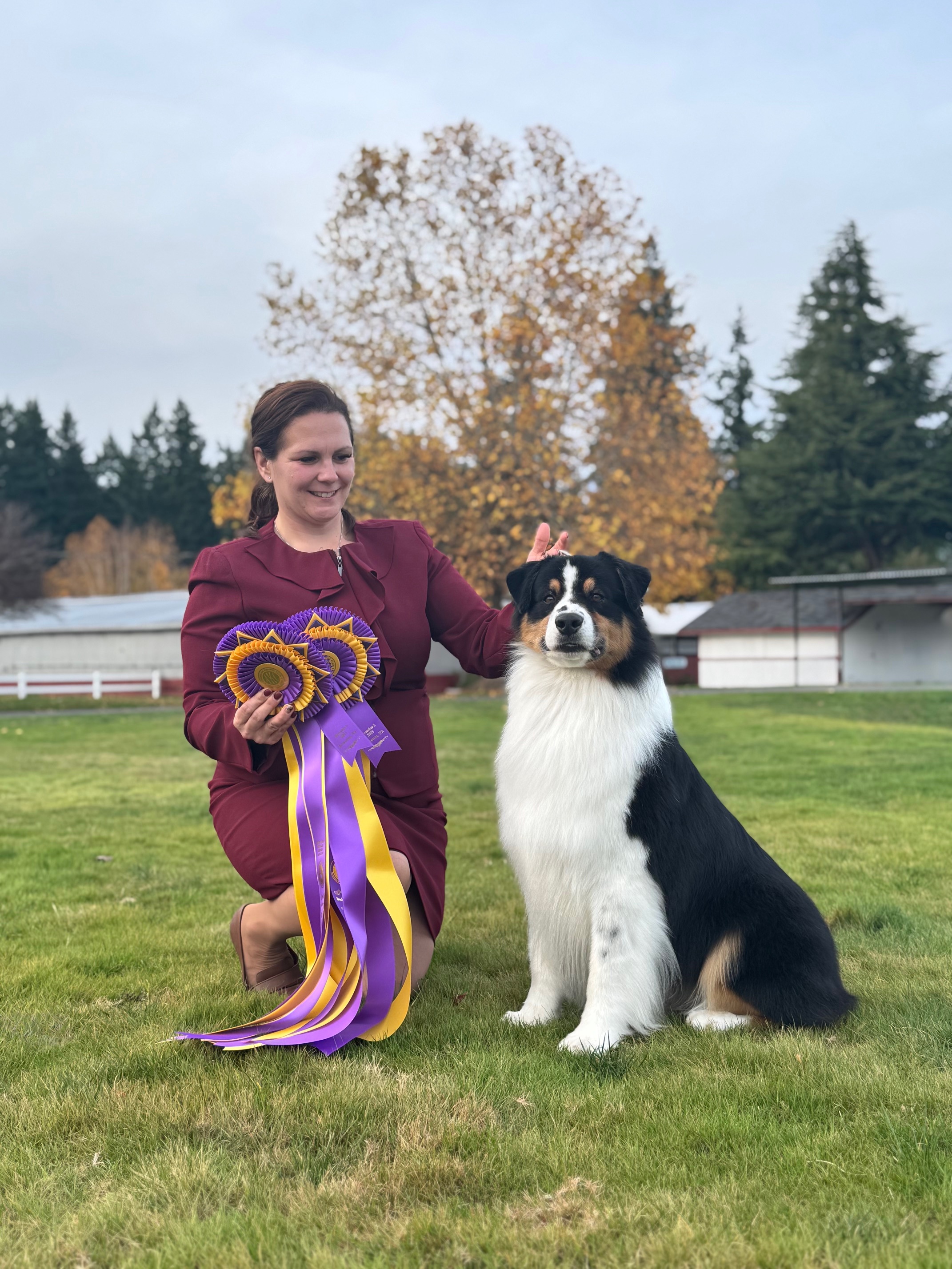 United States Australian Shepherd Association – Saturday & Sunday ...