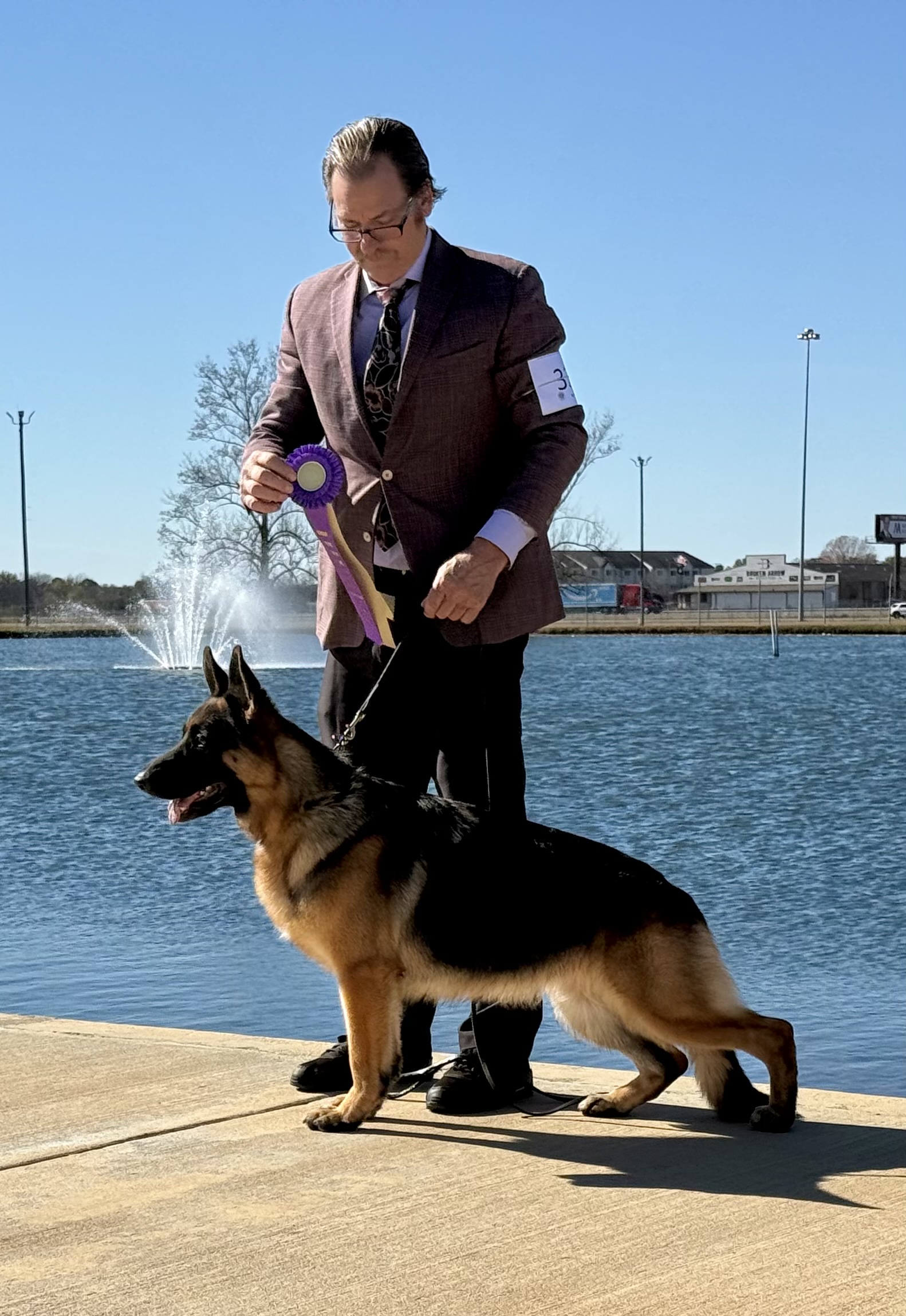 German Shepherd Dog Club of Atlanta – Saturday, November 29, 2025 ...