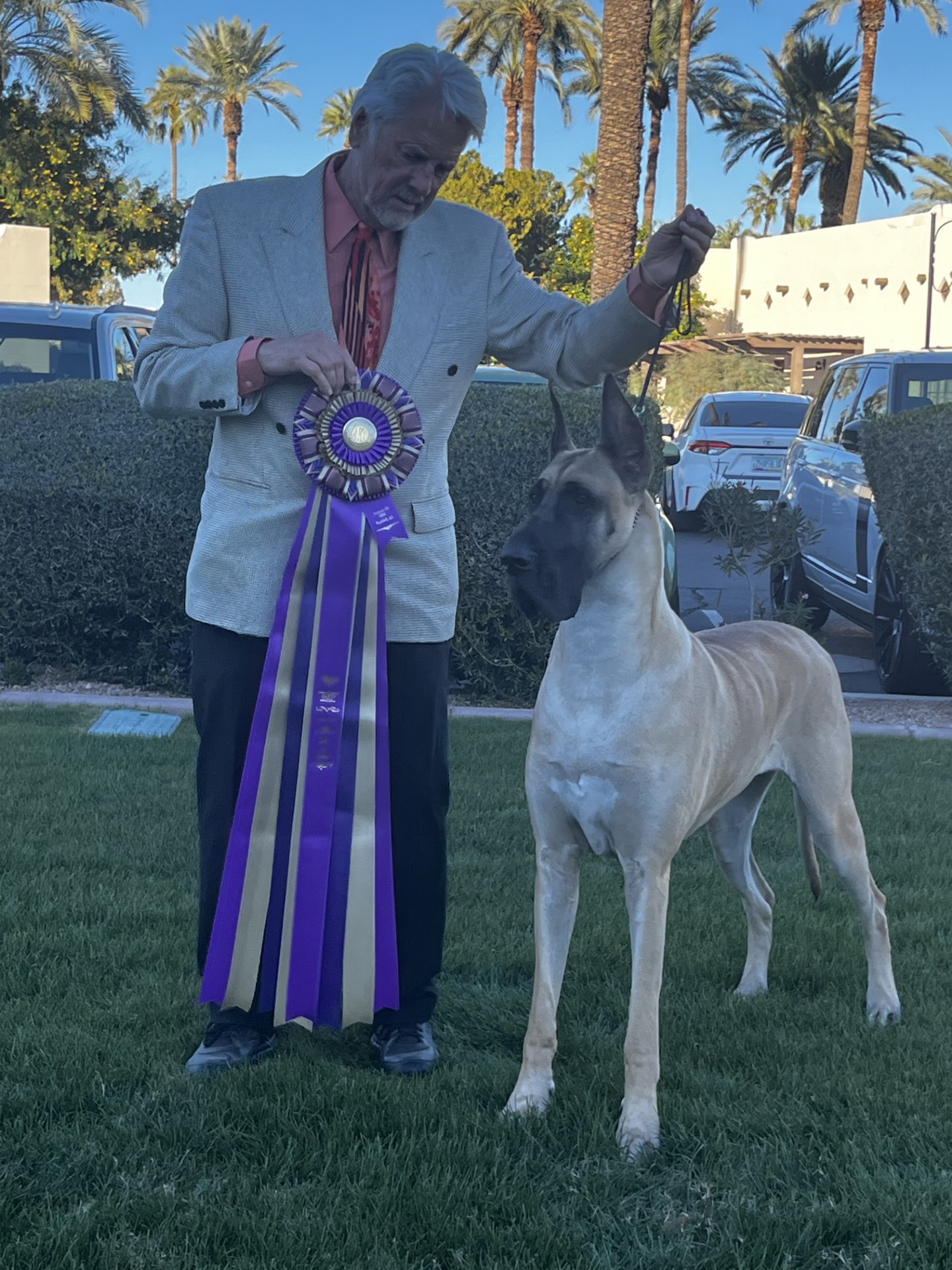 Great Dane Club of Arizona – Saturday, January 10, 2026 | Canine Chronicle