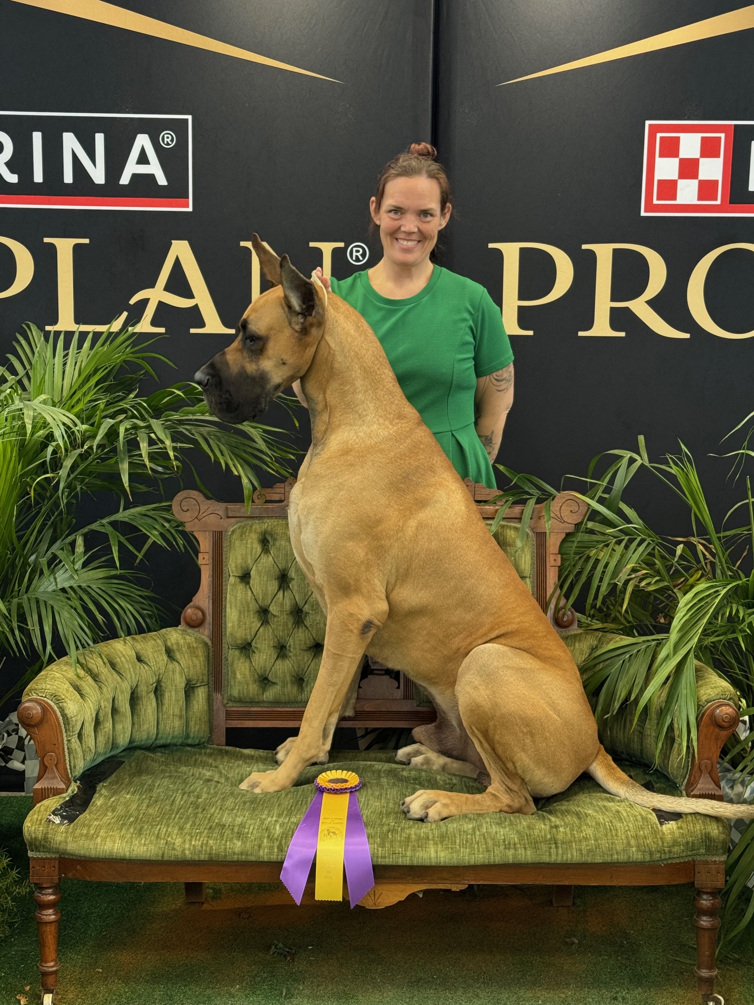 Hoosier Great Dane Club – Friday & Saturday, January & February 31 & 1 ...