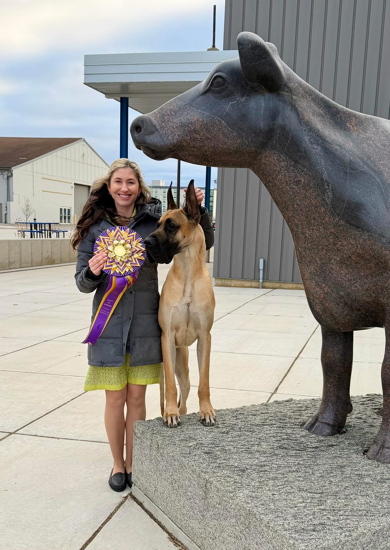 Lake Shore Great Dane Club – Friday, February 20, 2026 | Canine Chronicle