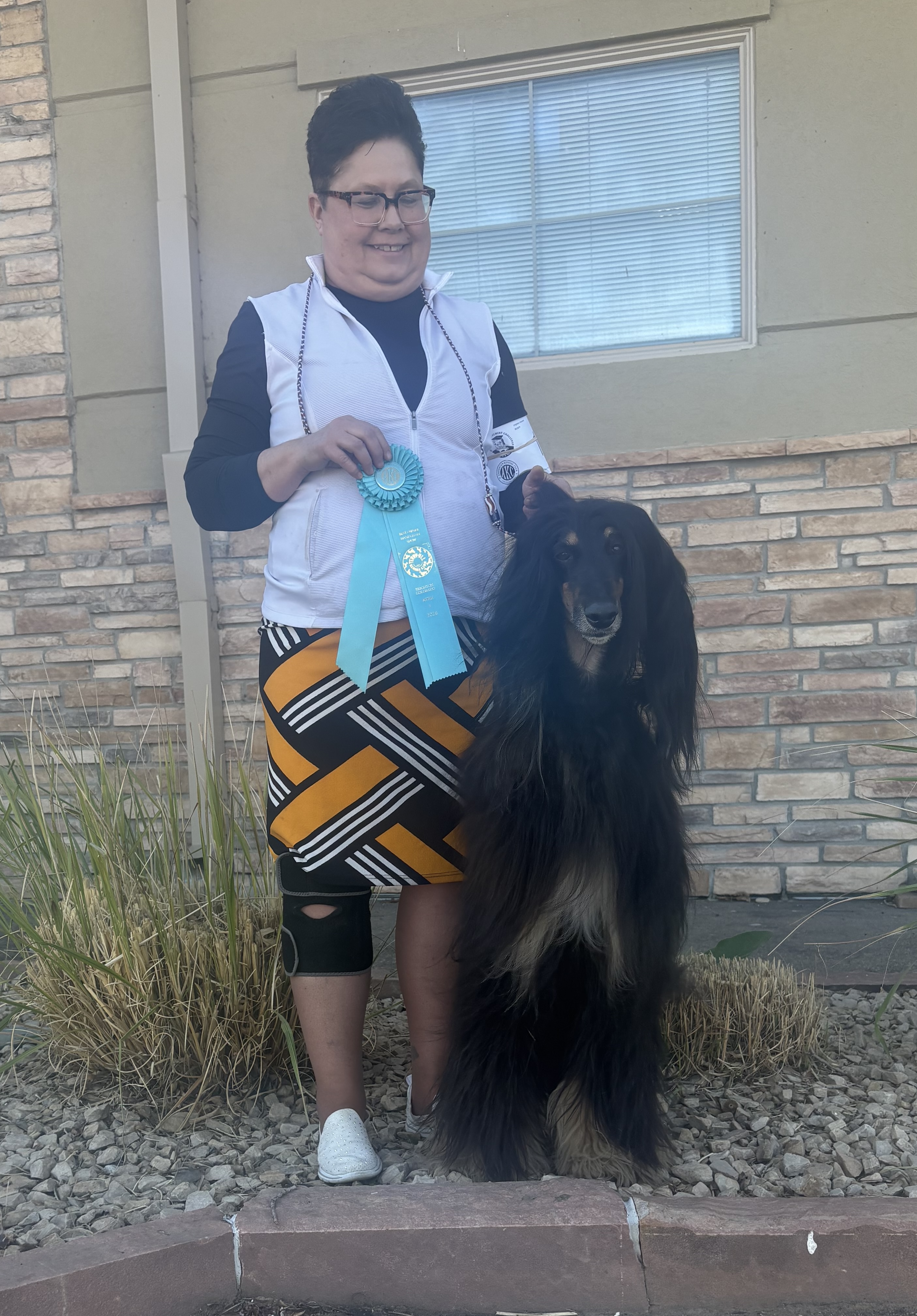 Terry All Kennel Club NOHS – Sunday, April 5, 2026 | Canine Chronicle