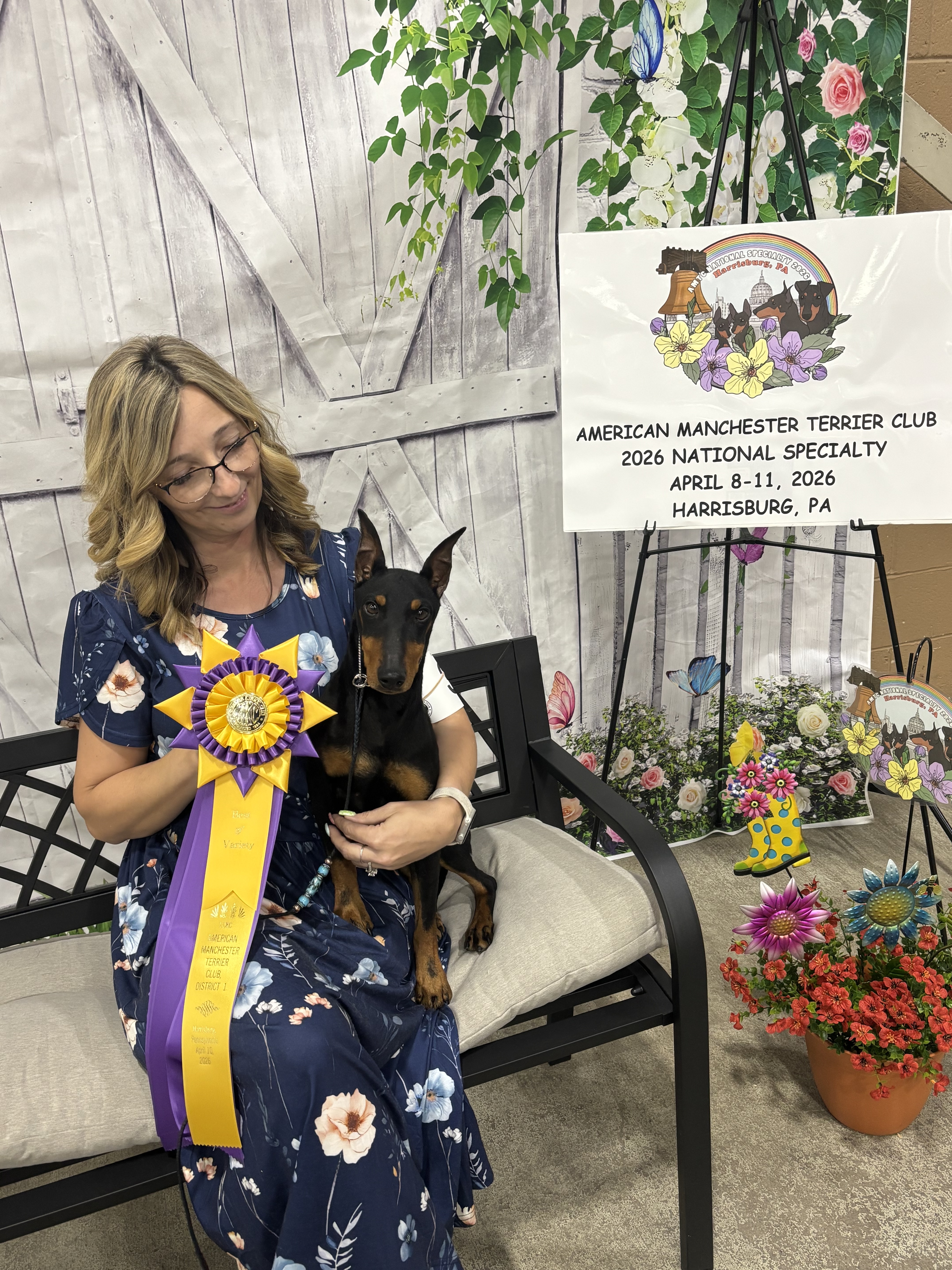 American Manchester Terrier Club District 1 – Friday, April 10, 2026 ...