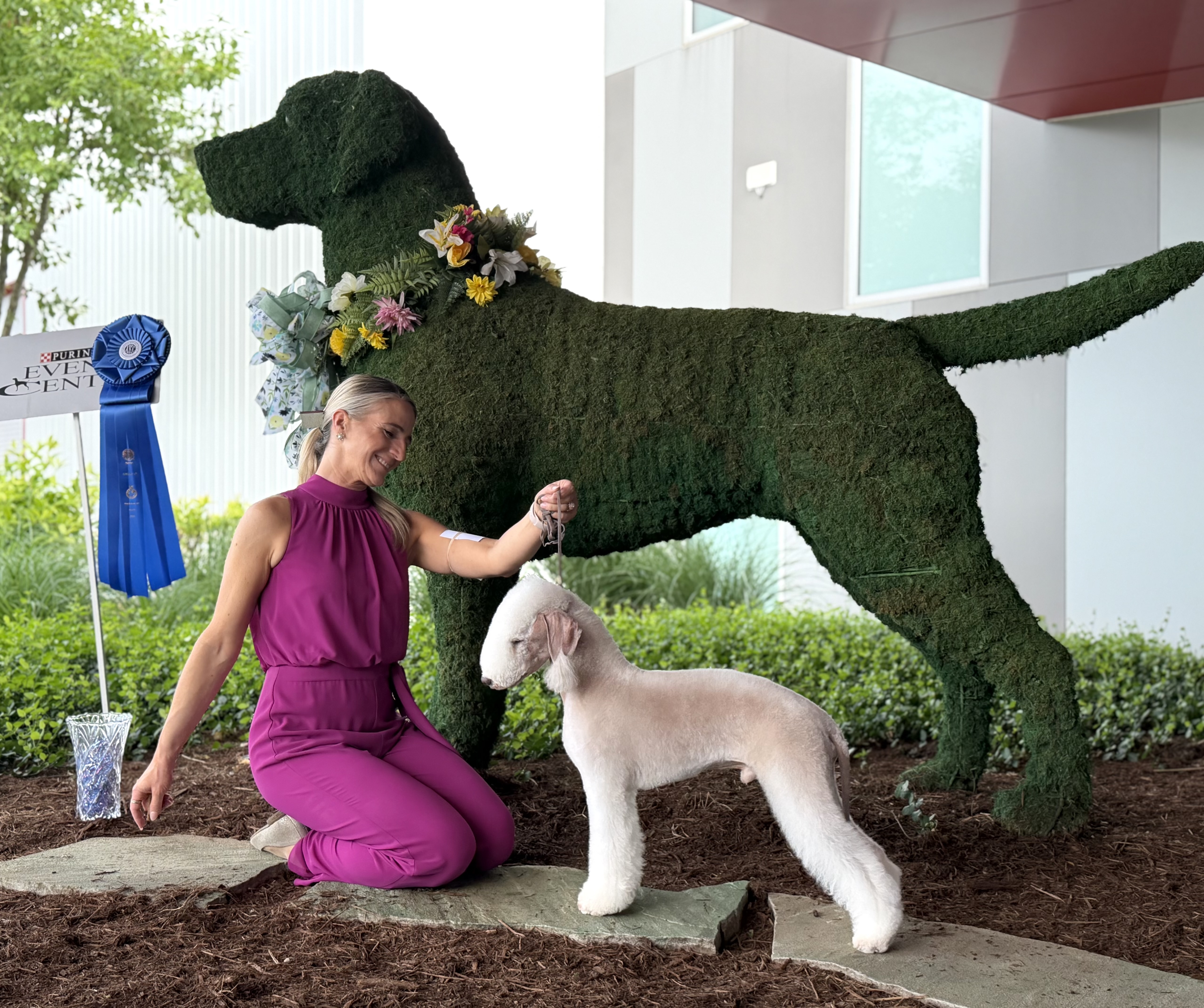 Gateway Terrier Association – Thursday, May 28, 2026 | Canine Chronicle